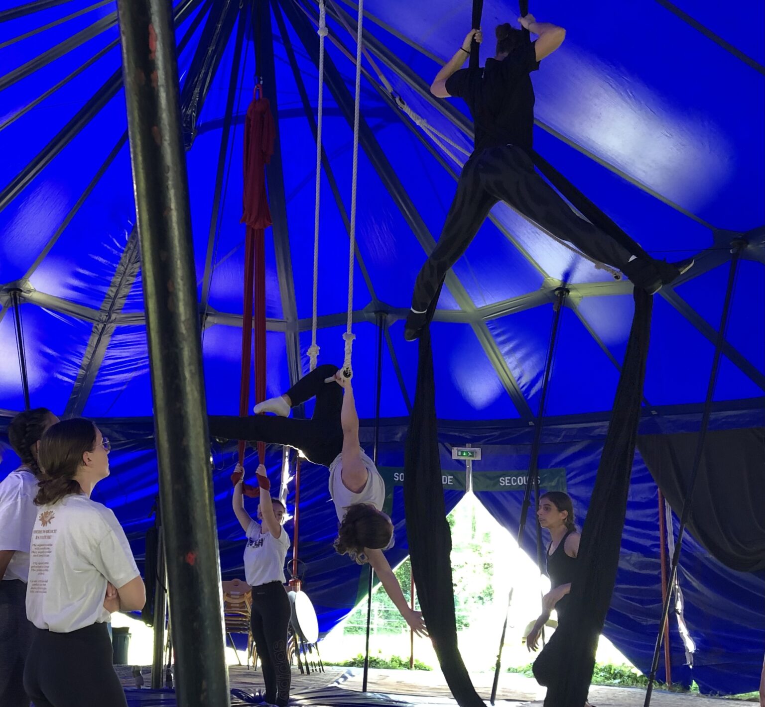 Projet cirque pour les élèves de seconde du LAD - Lycée Louis Audouin-Dubreuil